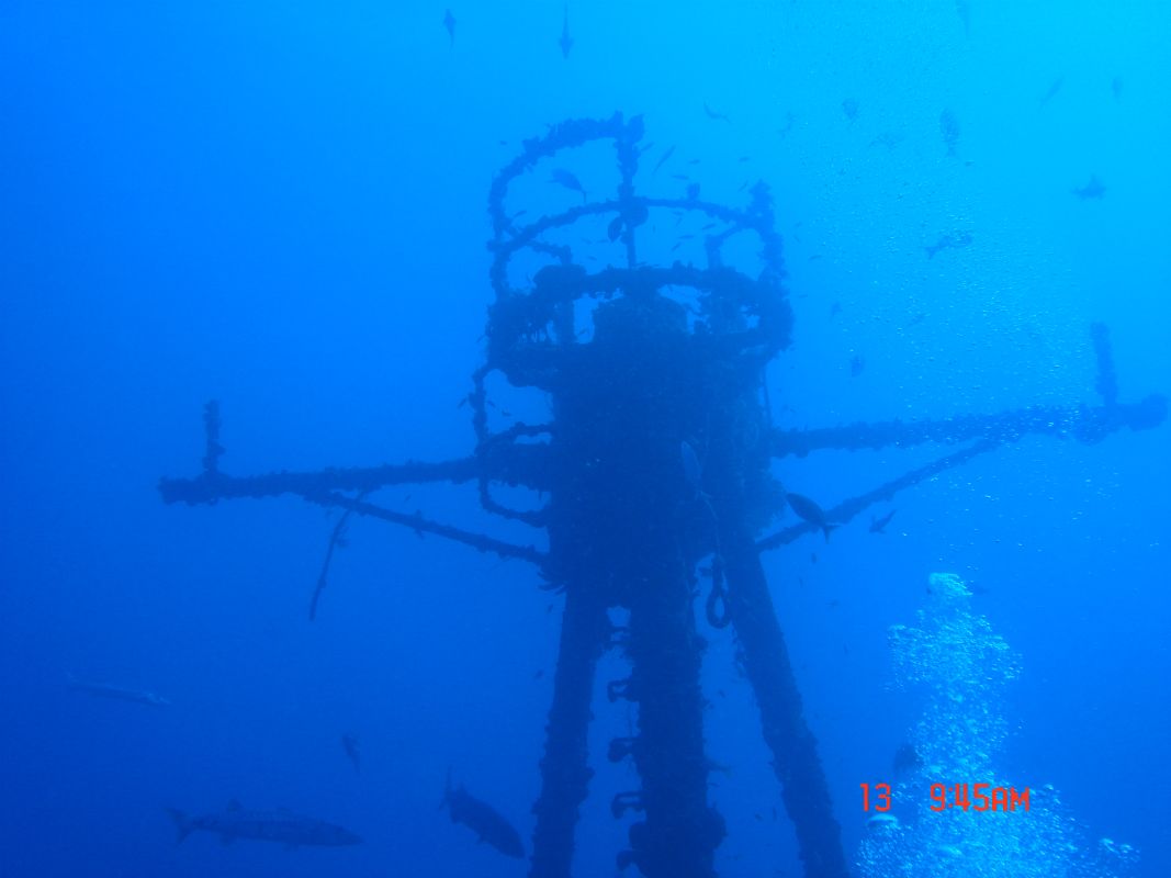 12 Outstanding Artificial Reefs to Visit | Live Science