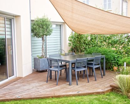 Landscaping with olive trees: 9 expert ideas | Homes and Gardens