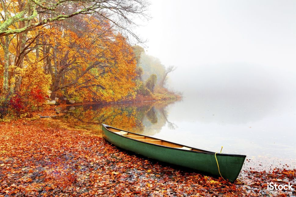 Breathtaking autumn images and why they work | Creative Bloq