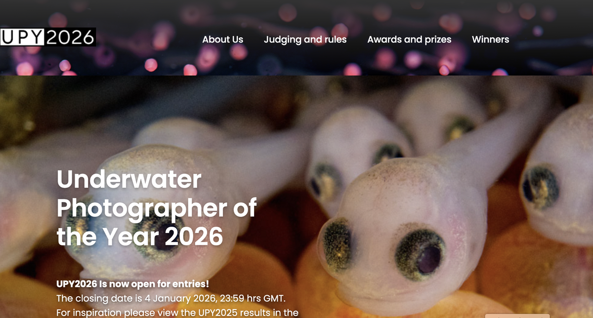 These are the best photography awards to enter in 2026, ranked by ...