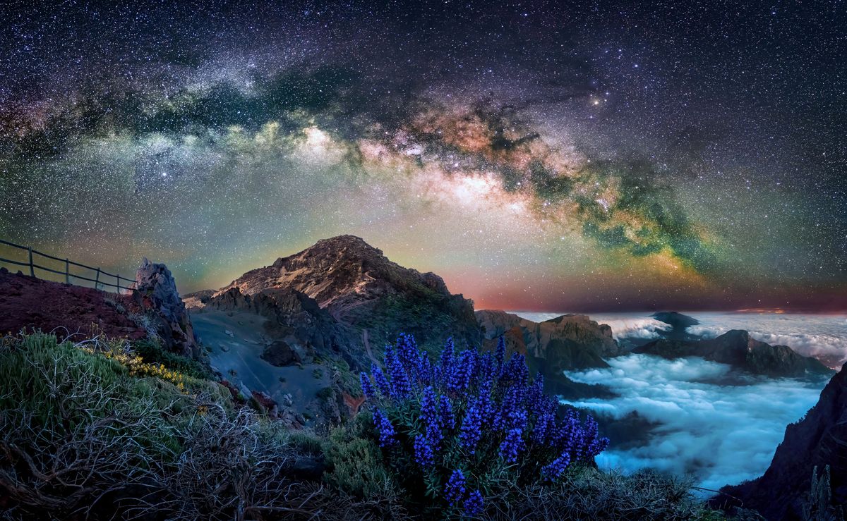 "Macro photography is complicated," admits nature photographer Tony ...