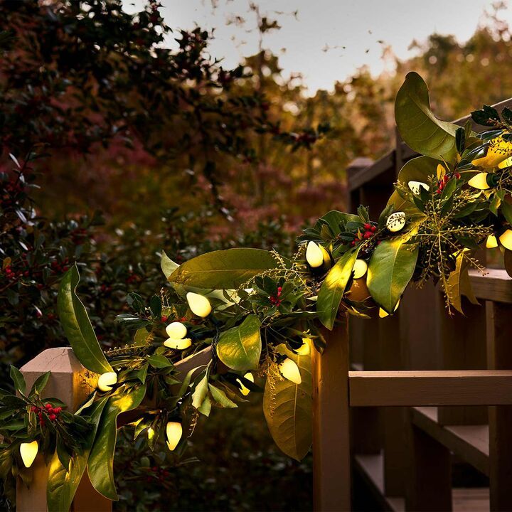 10 string light ideas for backyards you must try out | Livingetc