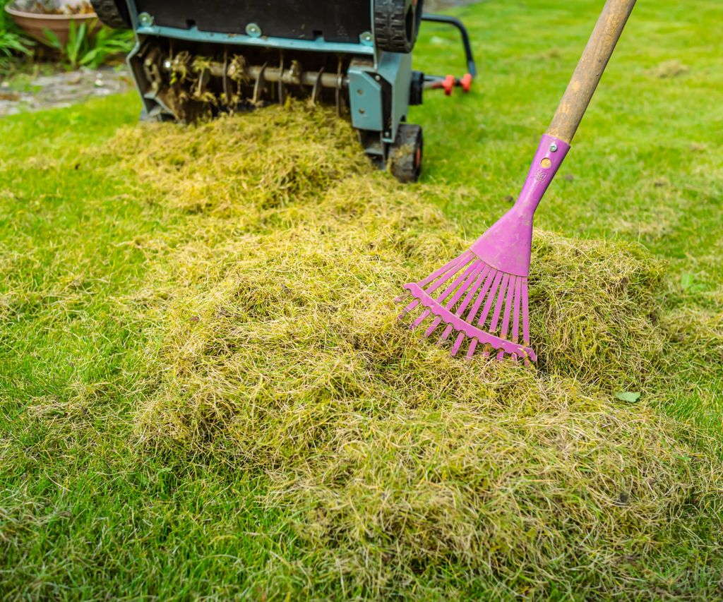 How to get rid of moss in lawns: 6 simple ways | Homes and Gardens