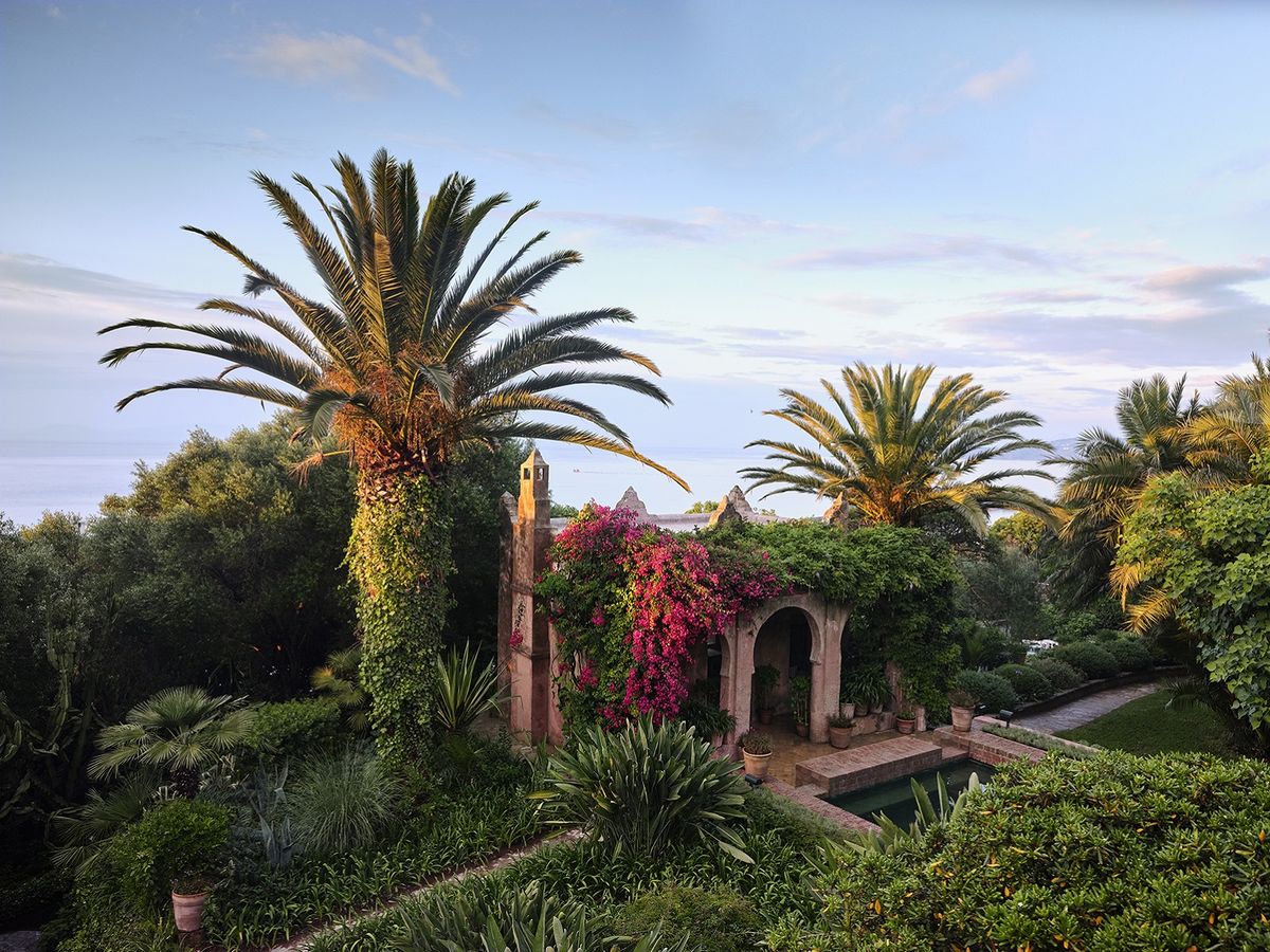 Tangier's greatest secret: Exploring the city's hidden gardens ...