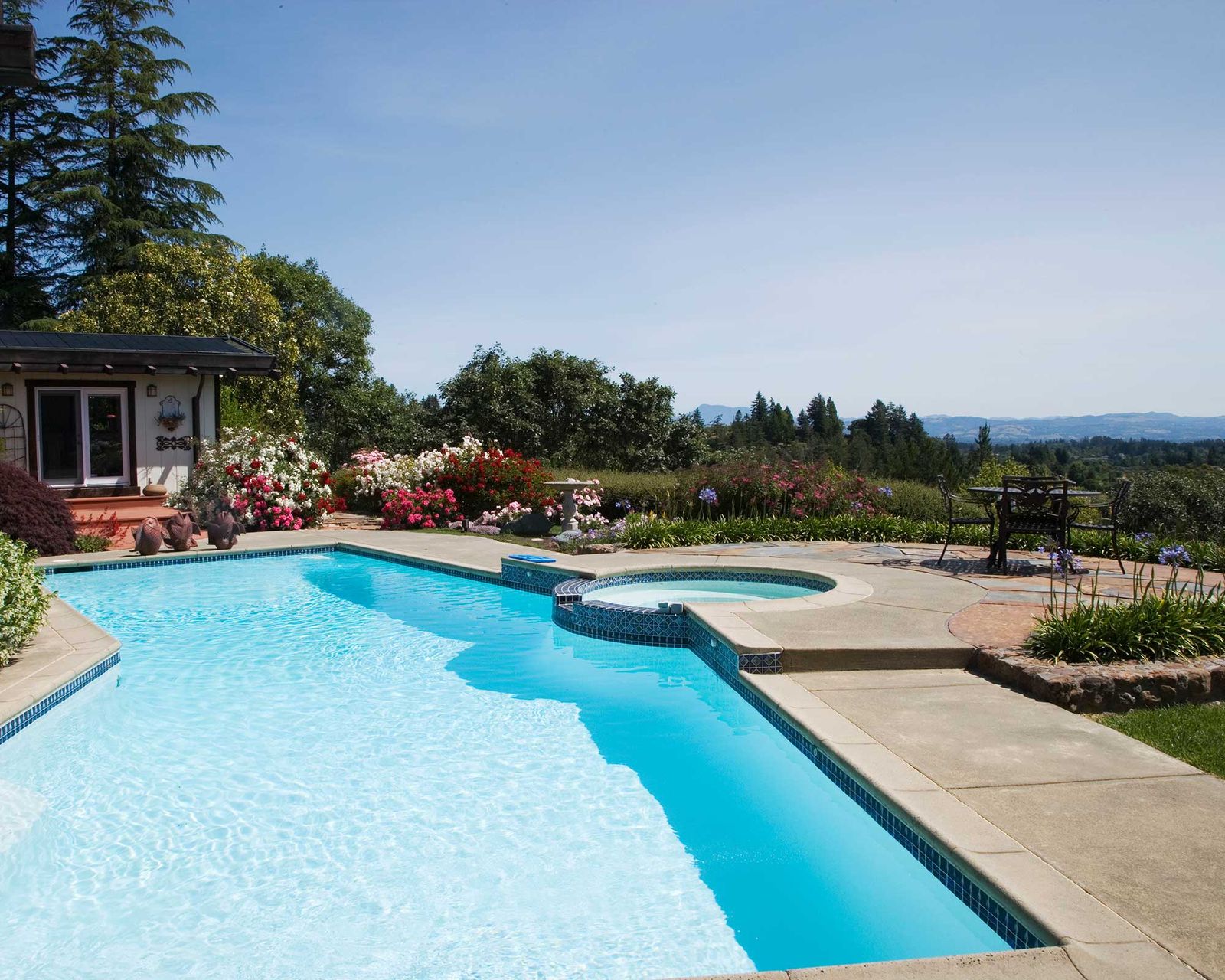 11 swimming pool shapes to consider | Gardeningetc