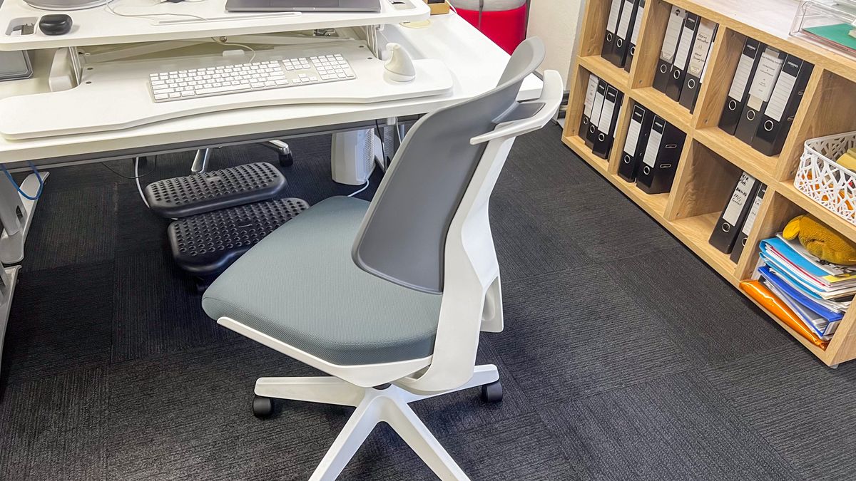 Desky Swivel 3D Tilt office chair review: an entry-level chair that ...