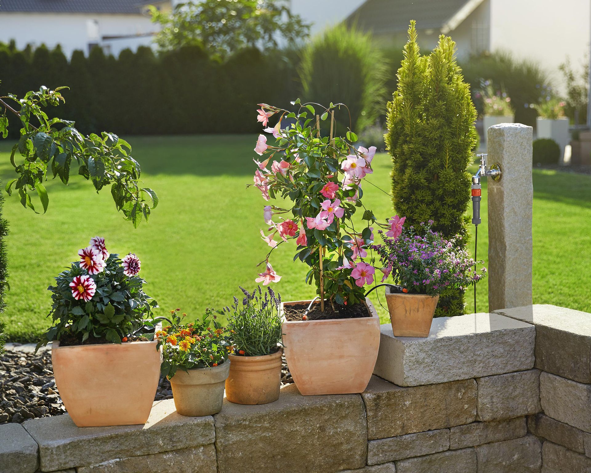 Drip irrigation systems: what are they and how do they work? | Gardeningetc