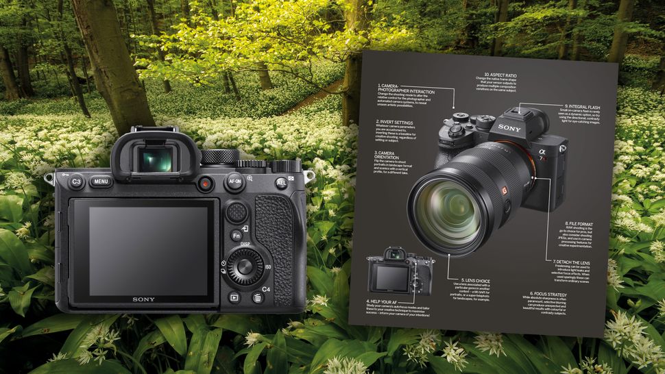 Photography cheat sheet: 10 ways to rethink the way you use your camera ...