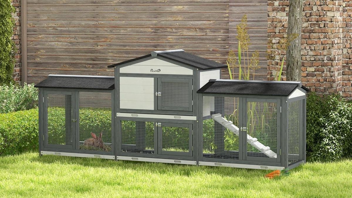 Best outdoor rabbit hutches 2024: Find a comfy home for your bunny | PetsRadar