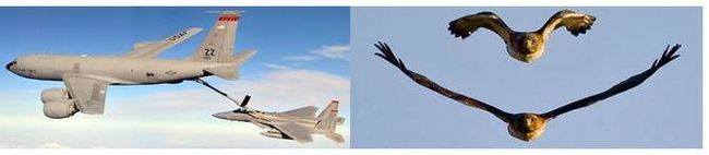 Morphing is One Way to Make Aircraft More Efficient (Op-Ed) | Space