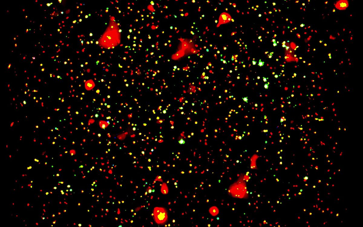 Gathered Observations Wallpaper | Space