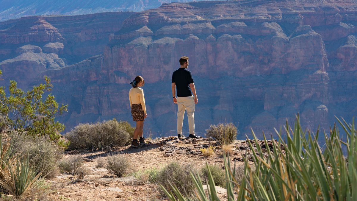 Wilderness: release date, cast, plot, trailer, interviews | What to Watch