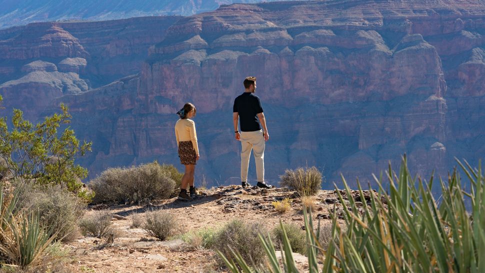 Wilderness: release date, cast, plot, trailer, interviews | What to Watch