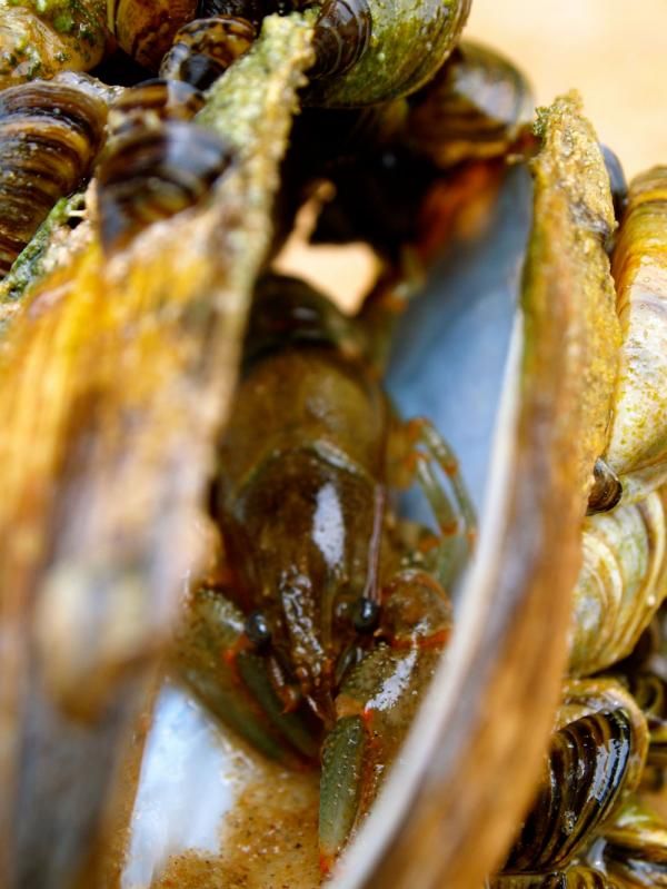 The Great Lakes: North America's 'Third Coast' (Photos) | Live Science