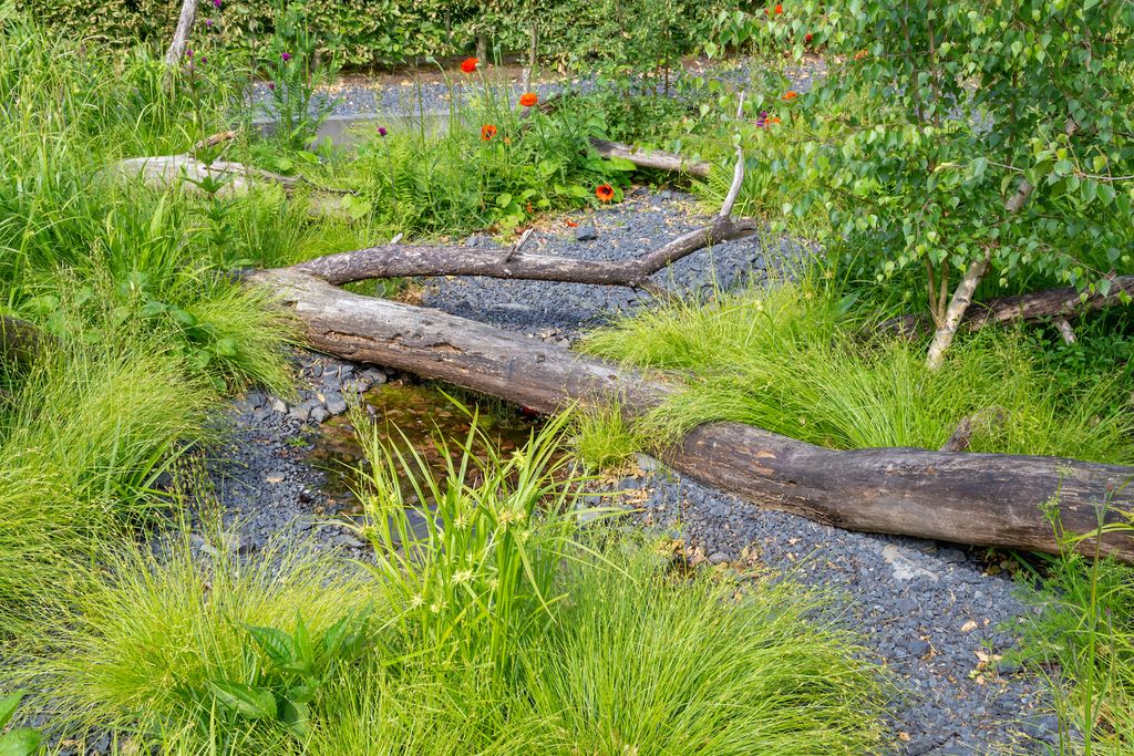 How to Create a Forest Garden | Livingetc