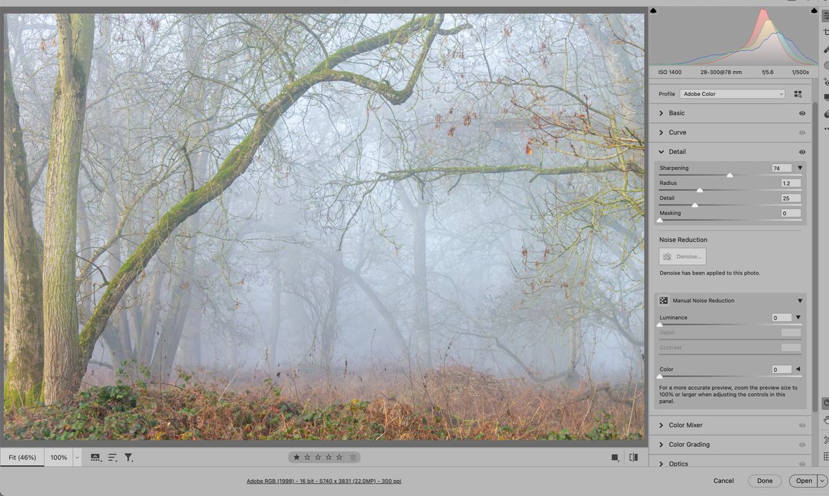 Mist opportunities! How to take top landscape photos in mist and fog ...