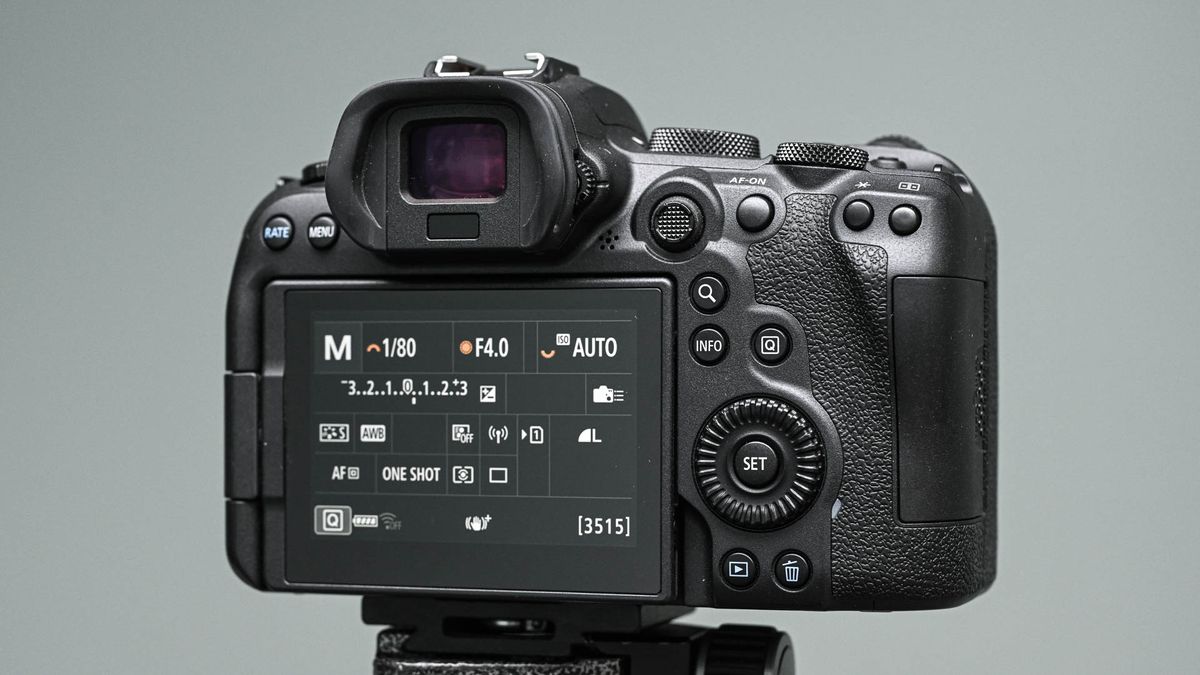 Canon EOS R6 review | Space