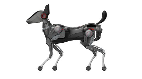 Would you swap your real-life pet for an AI-powered alternative? Meet ...