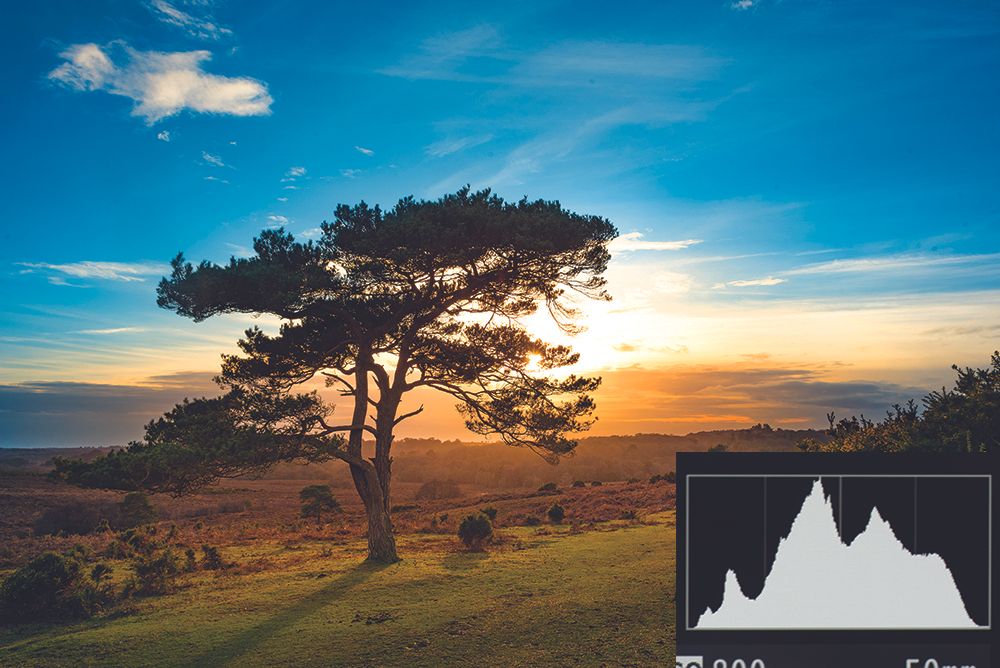 Exposure histograms on a Nikon: a photographer's guide | Digital Camera ...