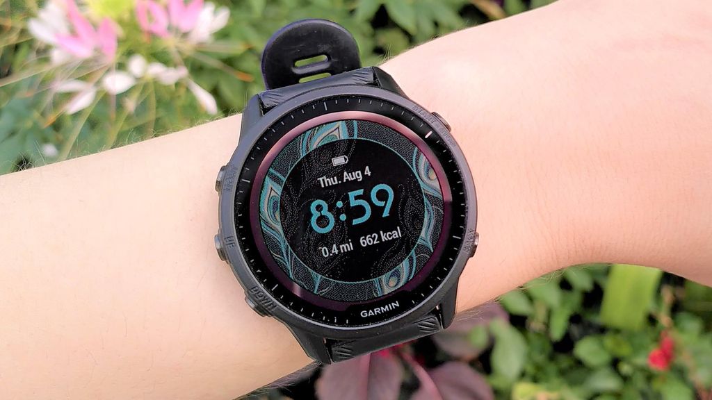 Garmin Forerunner 255 vs Garmin Forerunner 955 | Advnture