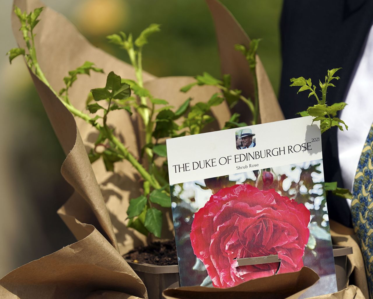 RHS launch Duke of Edinburgh rose | Gardeningetc