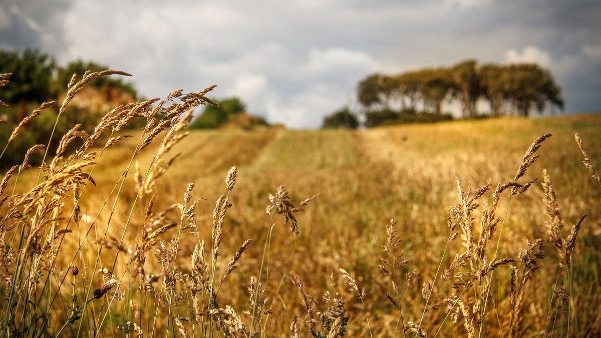 Capture creative depth-of-field in your photos | Digital Camera World