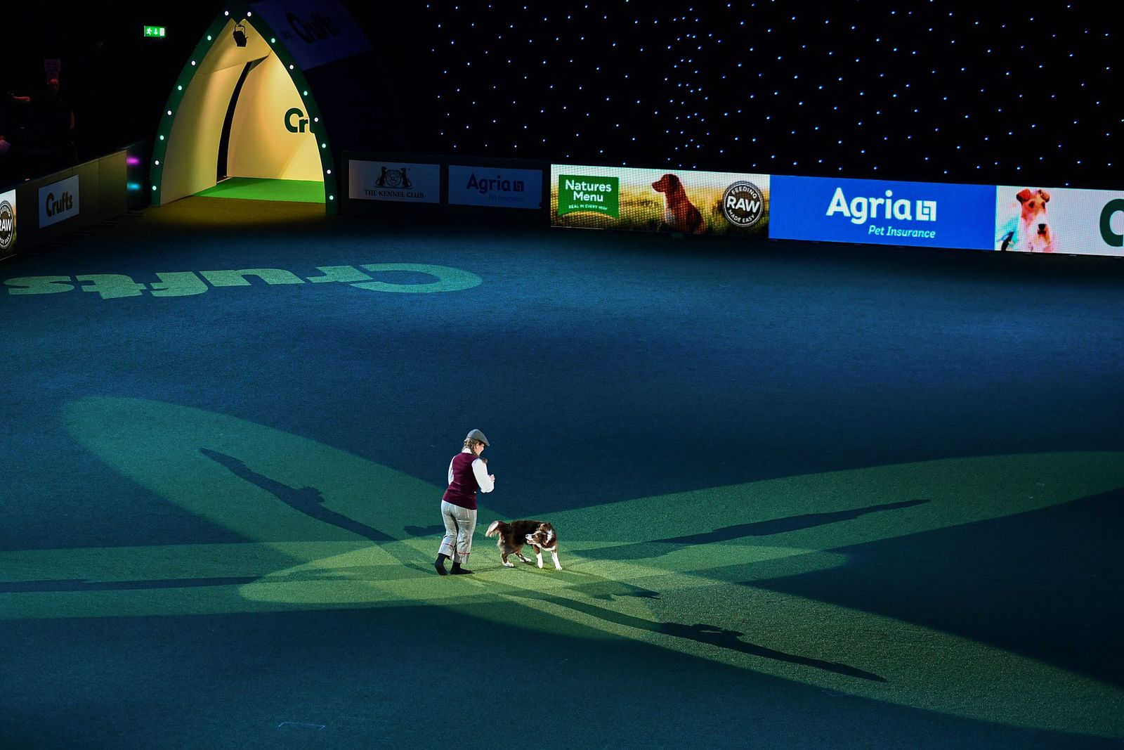 Crufts 2020: Best behind-the-scenes pictures from the iconic dog show ...