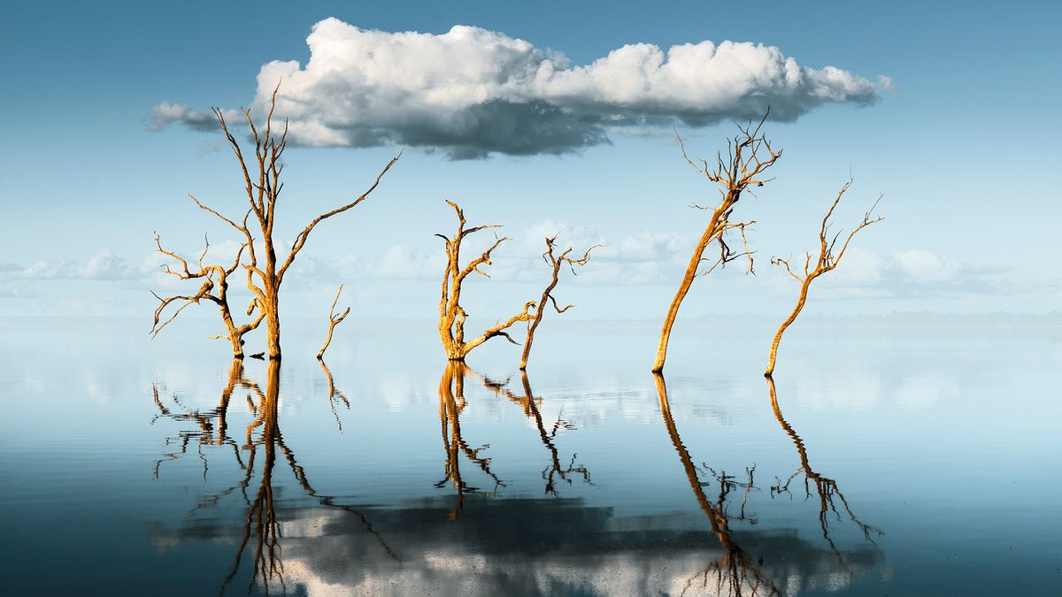 International Photography Awards winners announced | Digital Camera World