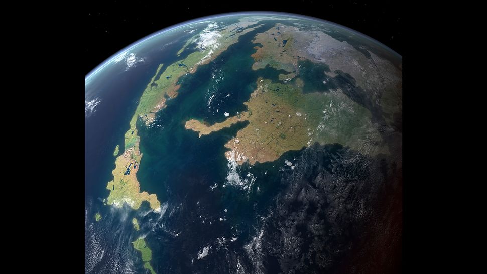 Tyrannosaurus rex: Facts and photos of the dinosaur king | Live Science