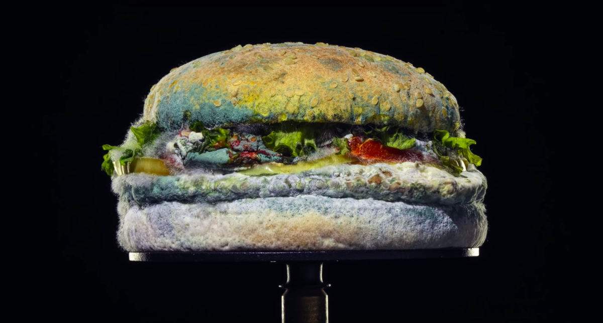 Burger King is advertising the revolting sight of a moldy Whopper | The ...