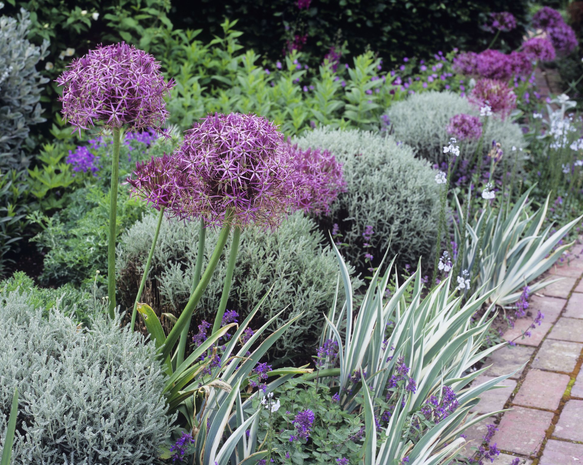 18 garden border ideas for the perfect planting scheme | Real Homes