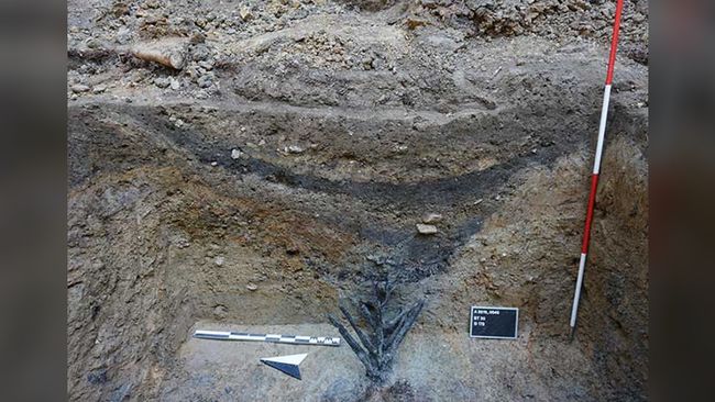 Ancient Roman 'spike defenses' made famous by Julius Caesar found in ...