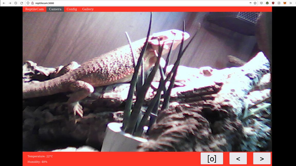Raspberry Pi Reptile Cam Monitors Lizards for Optimal Support | Tom's ...