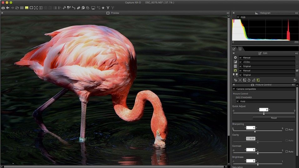 The best free photo editing software | Digital Camera World