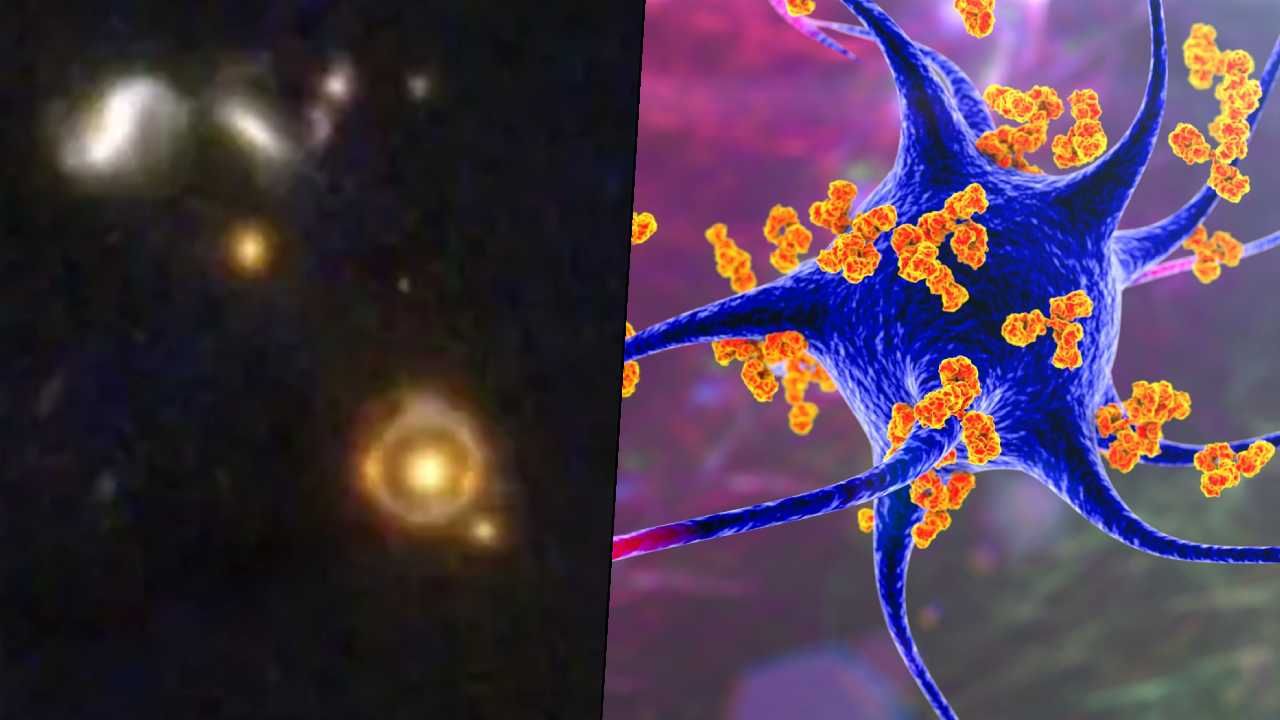 Science news this week: James Webb telescope discoveries and an inverse ...