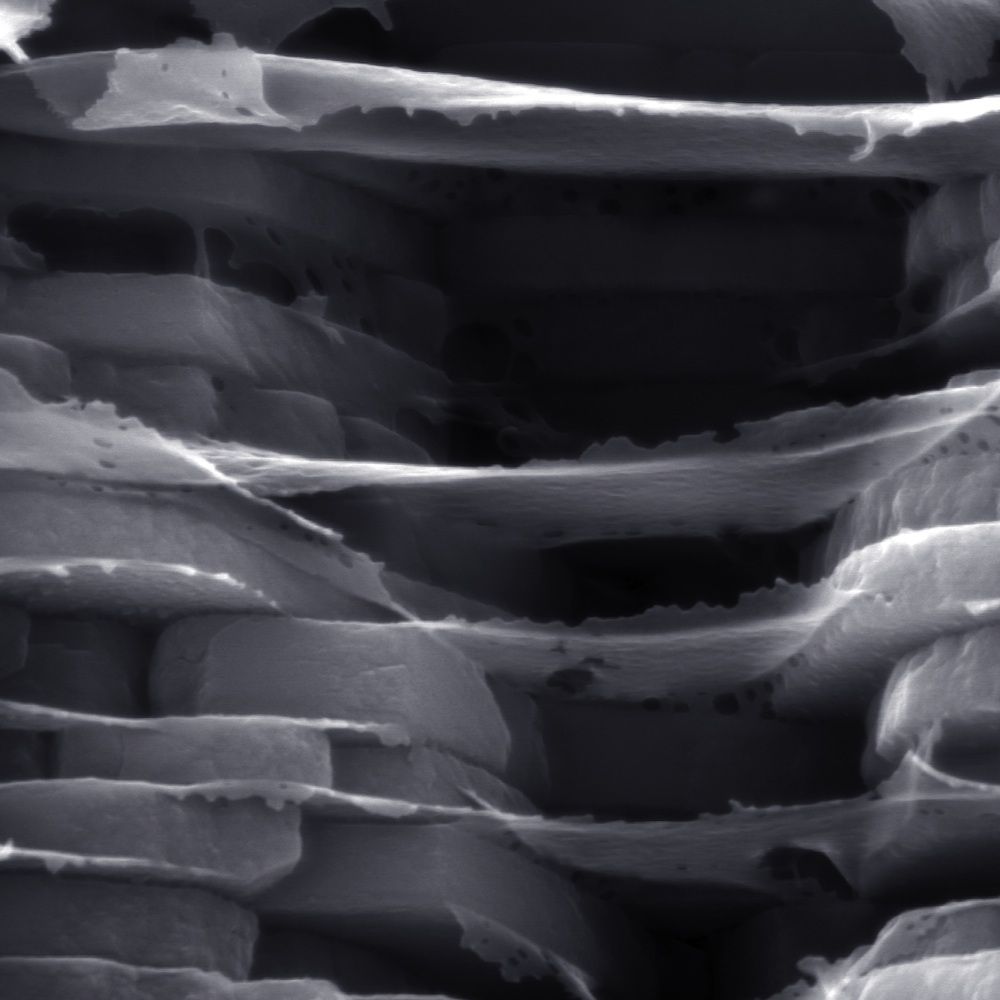 Tech from Nature: Ceramics Mimic Mother-of-Pearl | Live Science