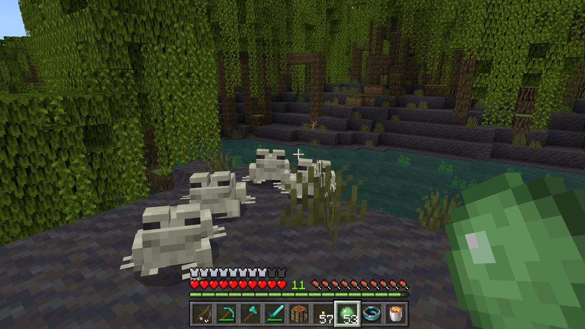 How to find Minecraft frogs and breed them from tadpoles | GamesRadar+
