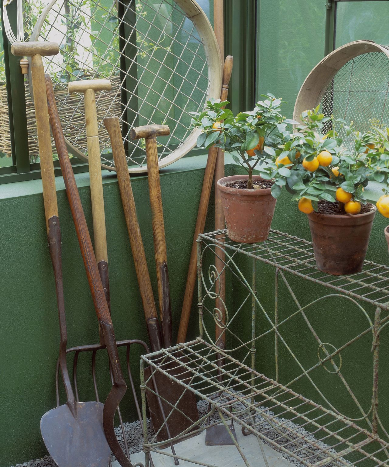 How to organize a greenhouse in 7 easy steps | Gardeningetc