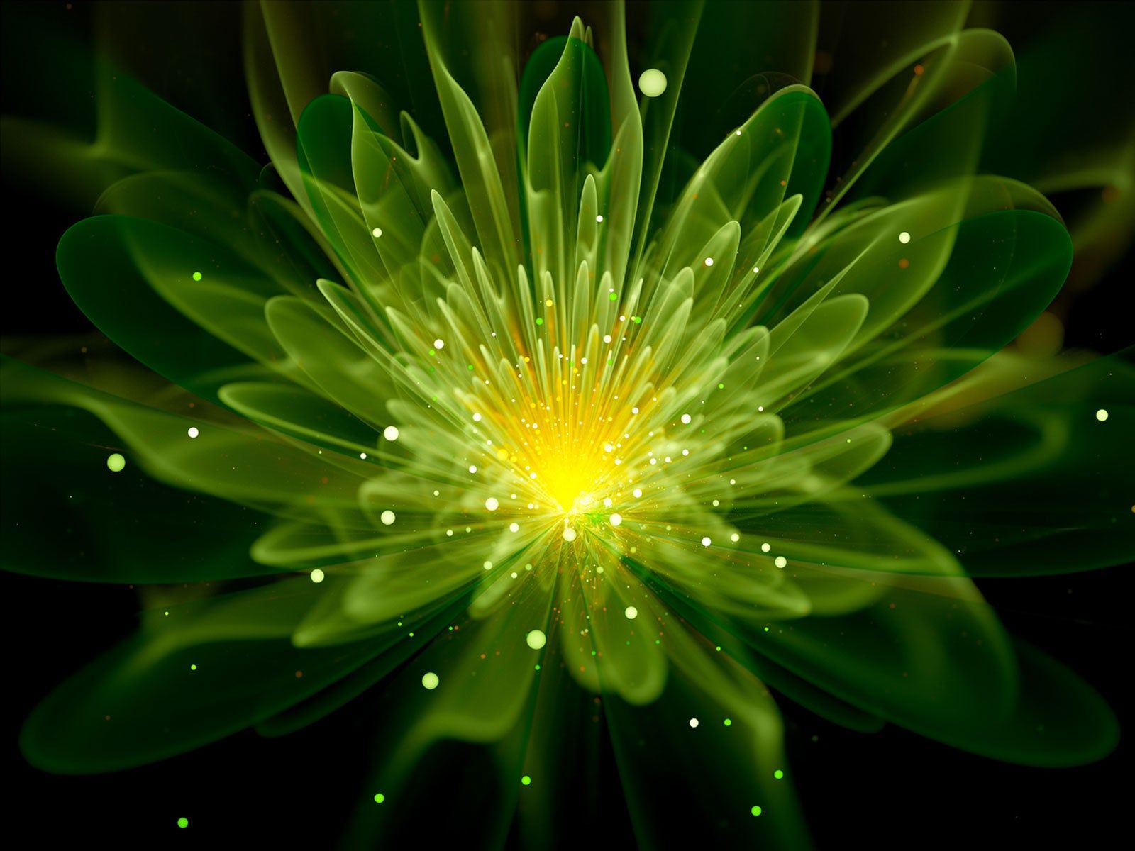 What Makes Plants Glow: Information About Glowing Plants | Gardening ...