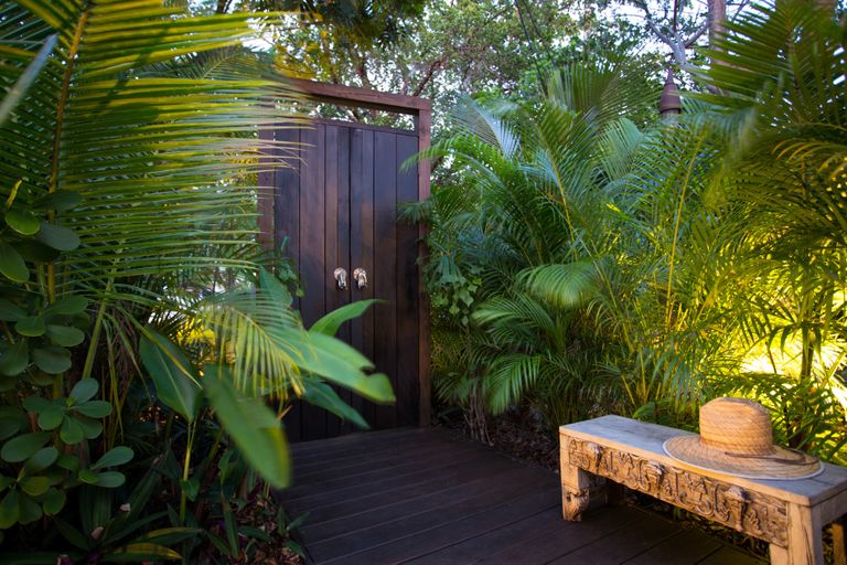 Tropical garden ideas - how to create a lush feel | Livingetc