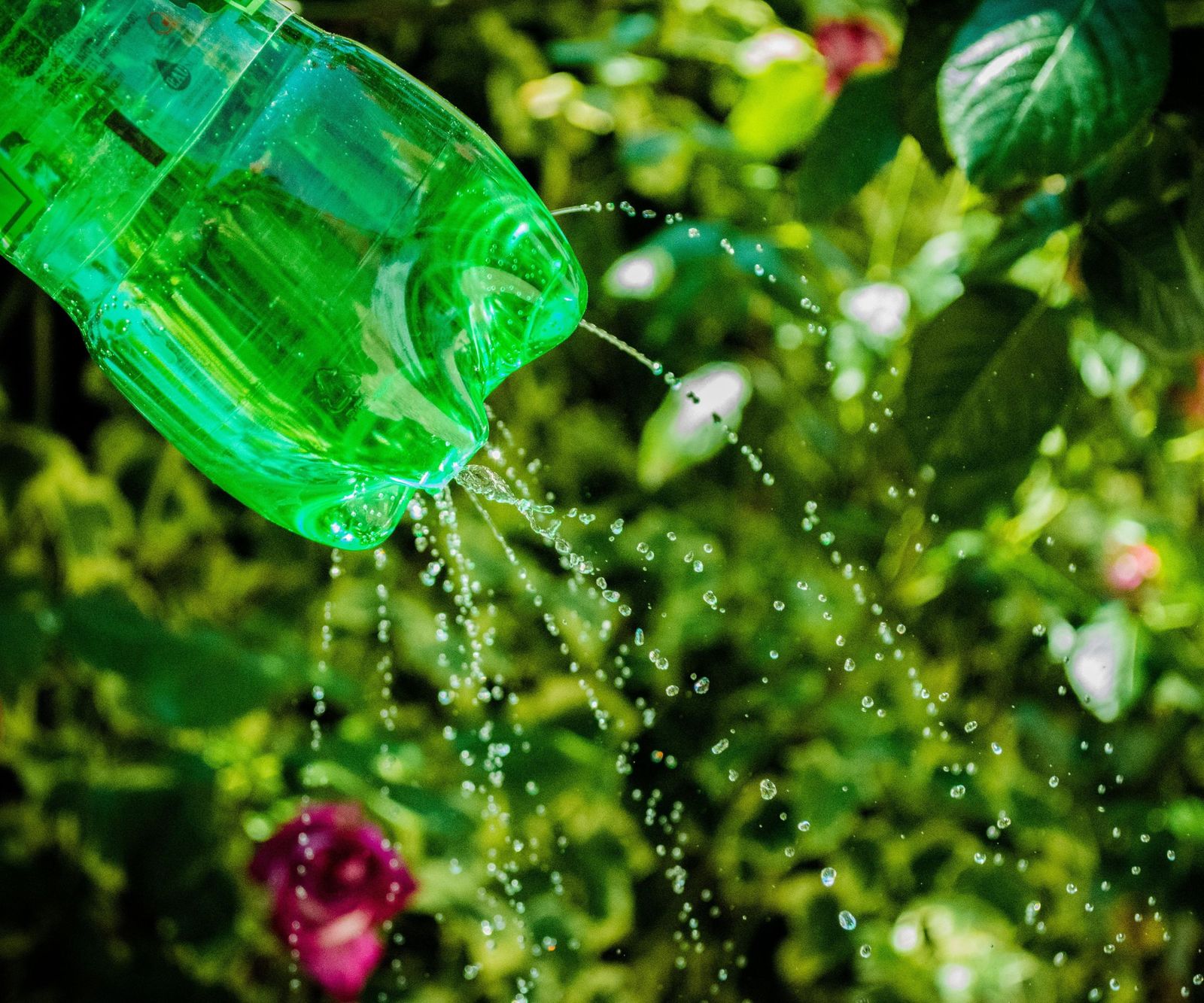 How to reuse plastic bottles in a garden: 7 easy projects | Homes and ...