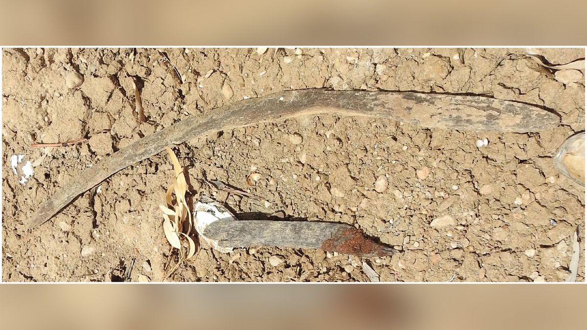 5 non-returning Aboriginal boomerangs discovered in dried-up riverbed ...