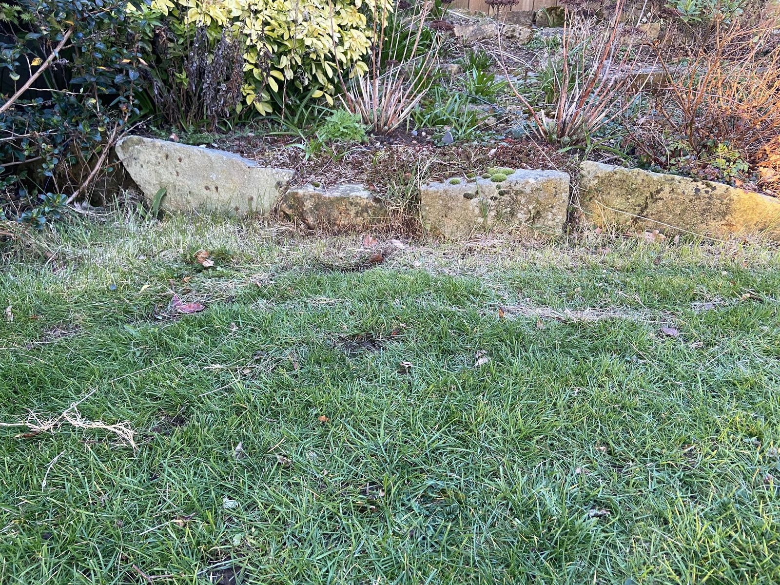 Bosch UniversalGrassCut 18–26 cordless grass trimmer review: this ...