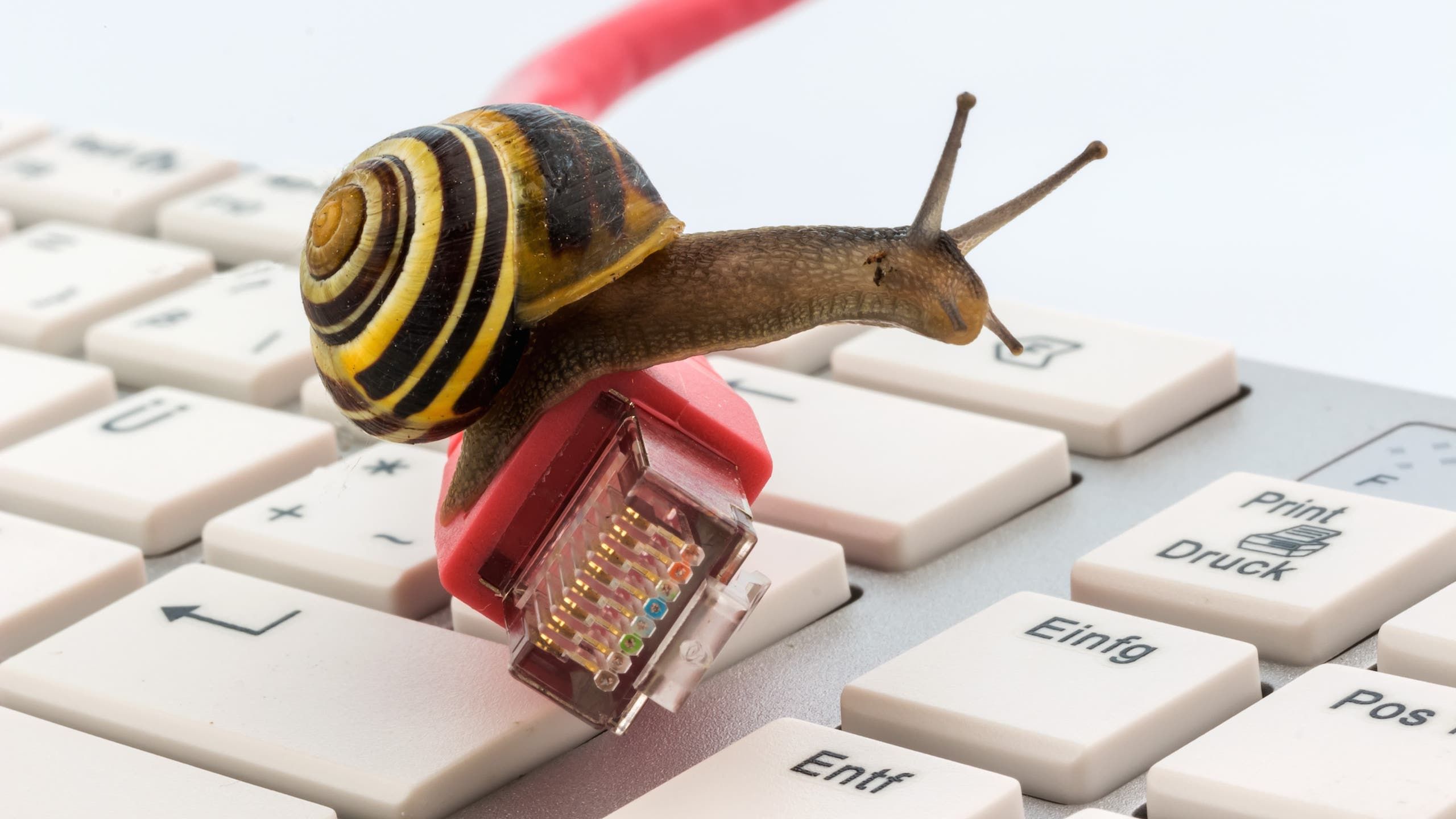 'Slow and expensive' internet is inhibiting Australia's digital ...