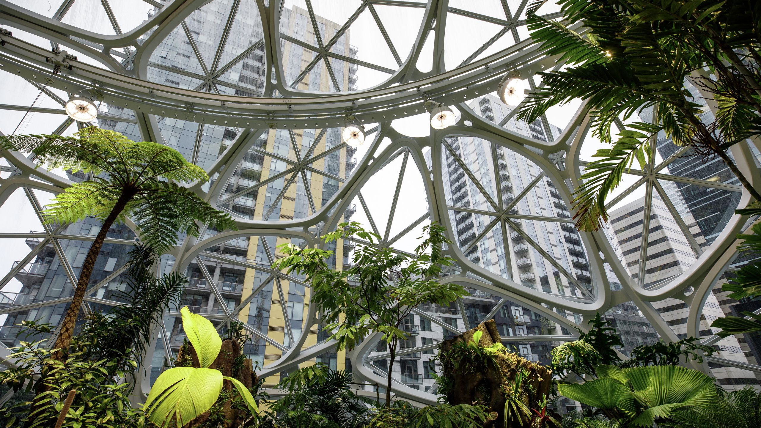 Architecture and wellness: can design make you healthier? | Wallpaper*