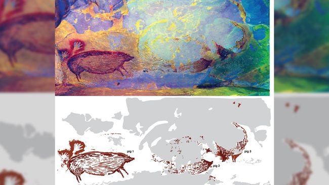 Warty pig is oldest animal cave art on record | Live Science