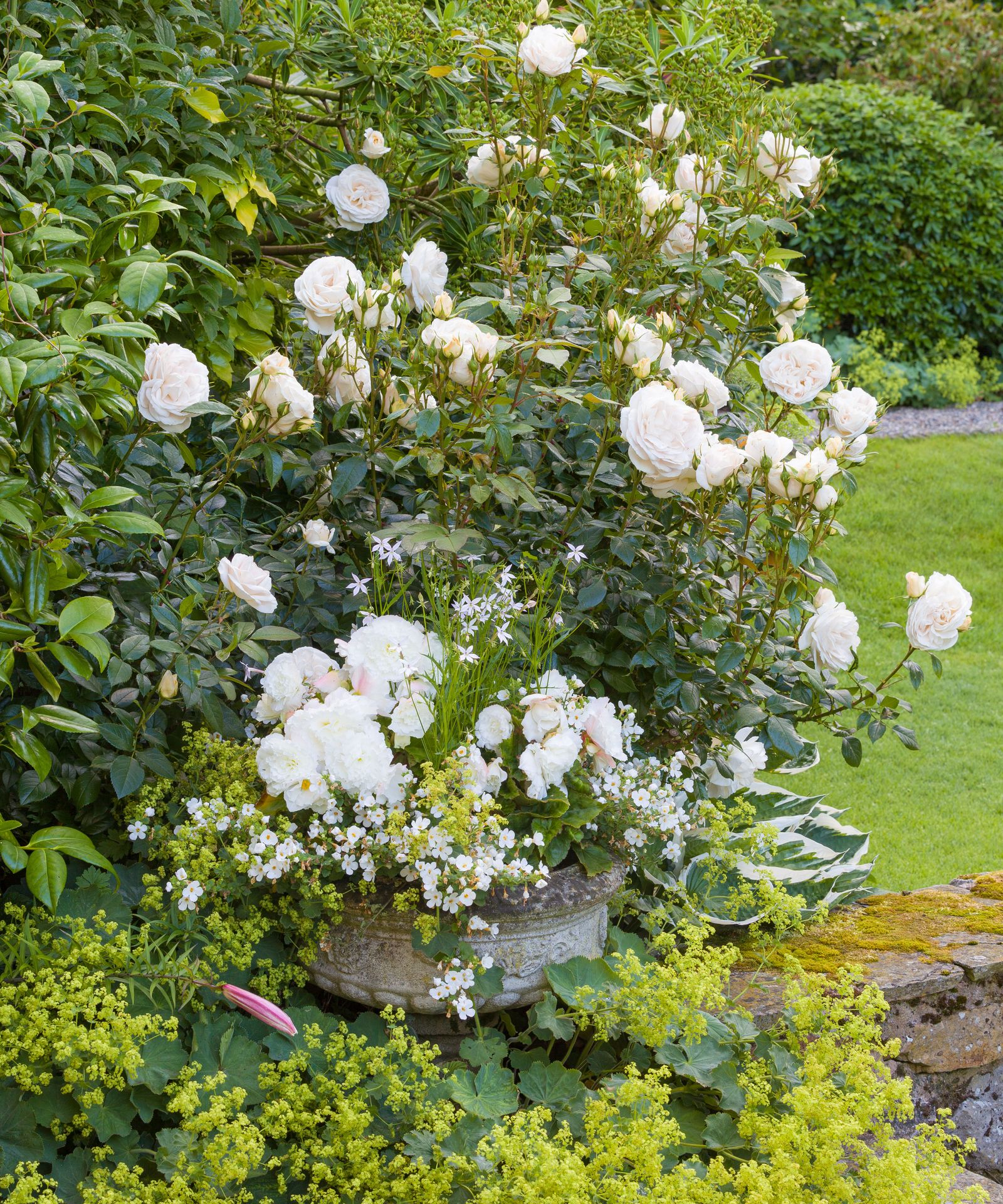 White garden ideas: 10 elegant designs full of shape and texture ...