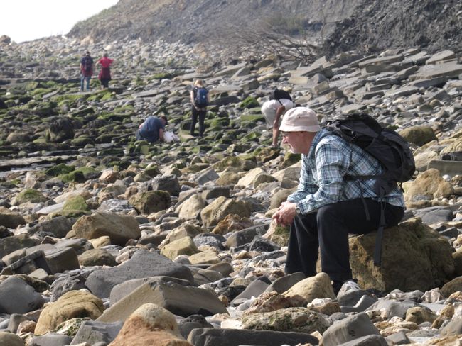 Mary Anning: Life and discoveries of the first female paleontologist ...