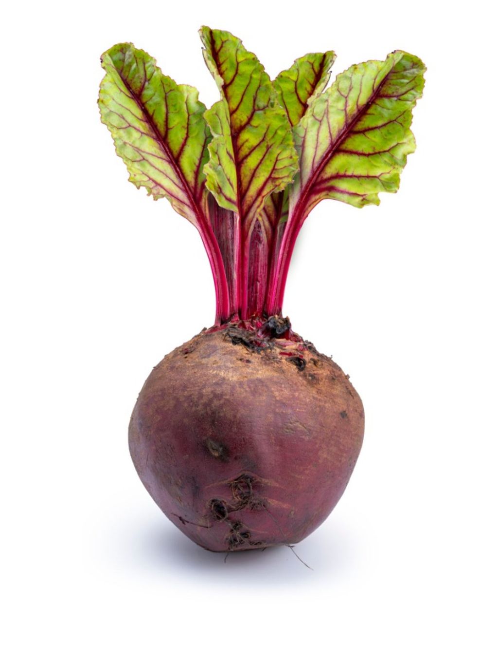 Tips & Information about Beets | Gardening Know How