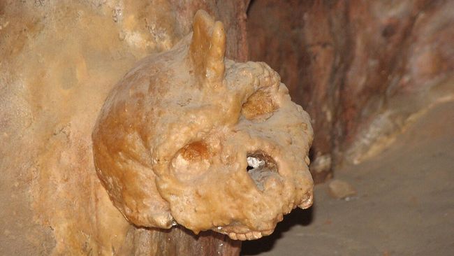Mysterious 300,000-year-old Greek cave skull was neither human nor ...